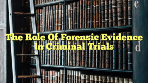 The Role Of Forensic Evidence In Criminal Trials - The Franklin Law